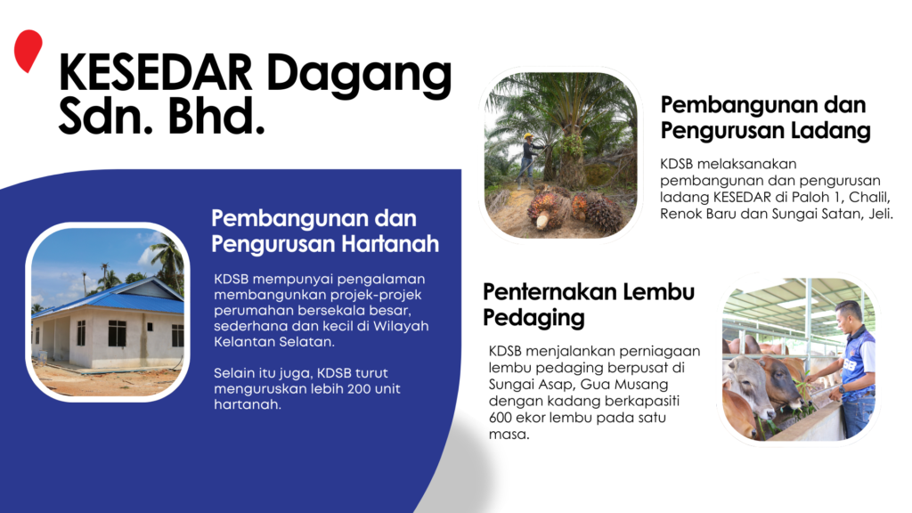 KDSB - KESEDAR Holdings